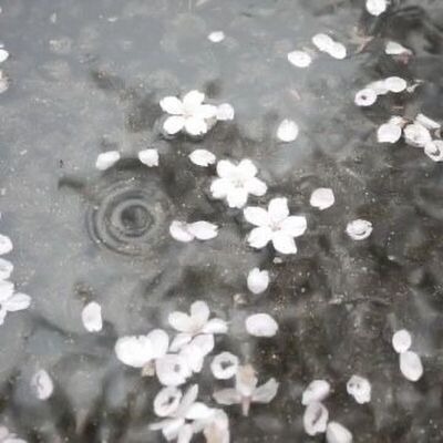 your imagination / orphrick: ฟิค Boy Love (แชท)