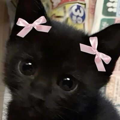 ครอบครัวใหม่?|Allisgi: ฟิค Boy Love (แชท)