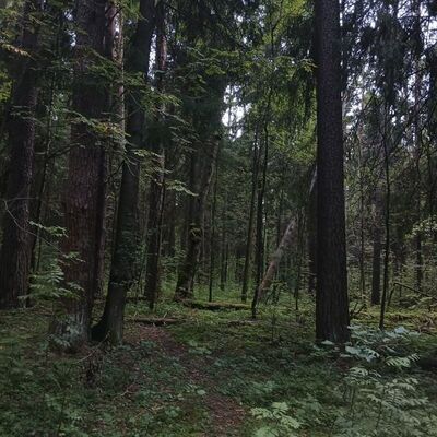 VAMPIREANDWOLF||PURESHADOW - EPISODE 1 : นิยาย Boy Love Lovely Room (แชท)