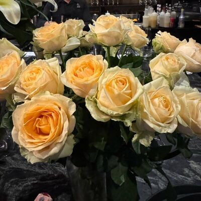 The Astral Ace ธารดาราในบ่อจันทร์: แฟนตาซี เกมออนไลน์ ต่างโลก