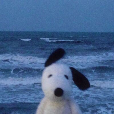 wanmai proudfa , runling x lberry: ฟิค Girl Love (แชท)