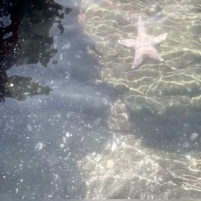 starfish |williamest: ฟิค Boy Love (แชท)