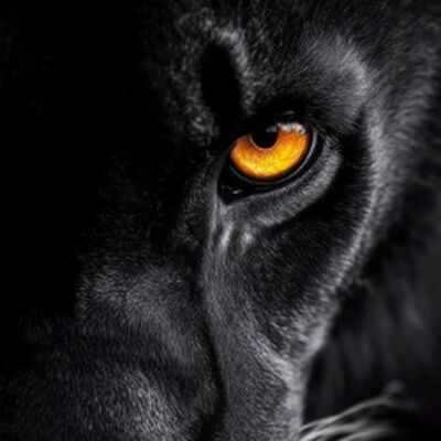 จากลูกหนี้ สู่แฟน / / เตเตย: ฟิค Love Novel (แชท)