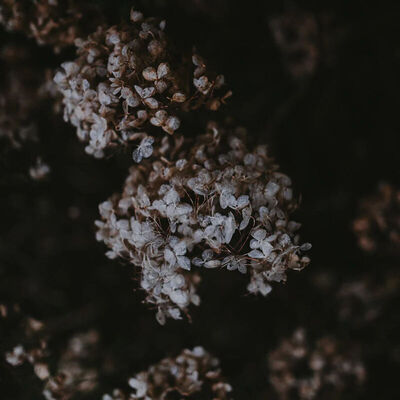 Avert Your Gaze from the Candle Light's Blaze: ฟิคฟรีสไตล์ (บรรยาย)