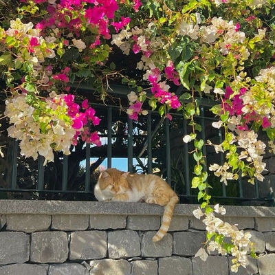 overstep ; tianzi: ฟิค Boy Love (แชท)