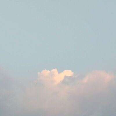 19 again, forever.: แนวทางเลือก