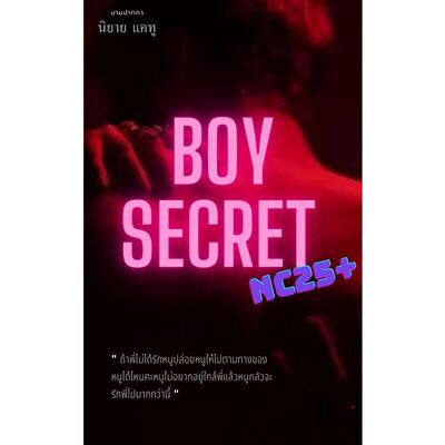 BOY SECRET ( E - BOOK ): นิยายรักวัยว้าวุ่น
