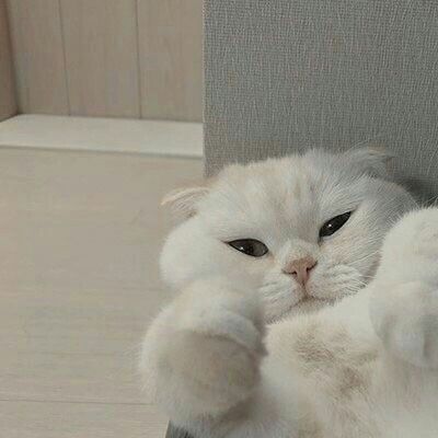 รับจ้างคุย #Akahina - 2 : ฟิค Boy Love (แชท)