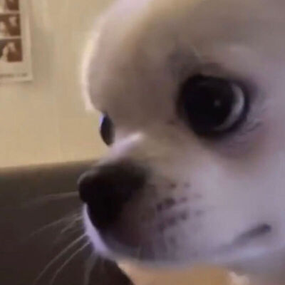 อ๋อ / jaedy: ฟิคฟรีสไตล์ (แชท)