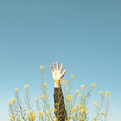 [fic haikyuu] Fennec MATE (Akahina): ฟิค Boy Love (บรรยาย)