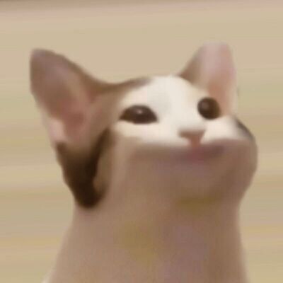 meme popcat: ฟิคฟรีสไตล์ (แชท)