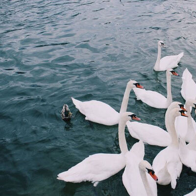 พระพายต้องมนต์ // jamren: ฟิค Boy Love (แชท)