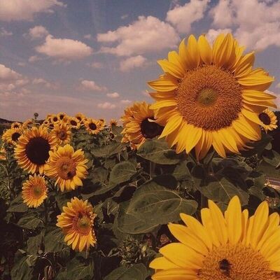 Everything Has Changed: แฟนตาซี เกมออนไลน์ ต่างโลก