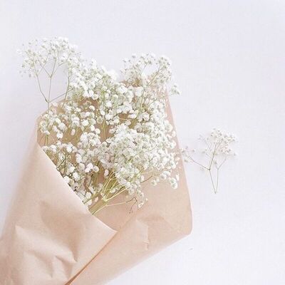 Shy Cutter คุณชายคัตเตอร์: นิยาย Boy Love Party Room