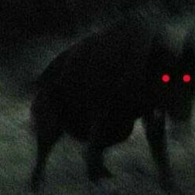 LOOKISM : Werewolf - คืนนี้จะรอดมั้ยวะ *รอรีเนื้อเรื่อง*: ฟิค Boy Love ...