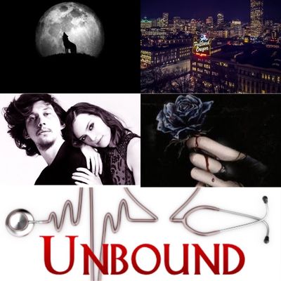 [Star Wars Shapeshifter AU] Unbound: ฟิค Love Novel (บรรยาย)