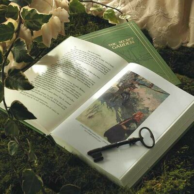 หนังสือรุ่น(osaatsu): ฟิค Boy Love (แชท)