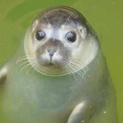 ยูนิคอร์นกับคนขี้ขโมย: ฟิค Boy Love (แชท)