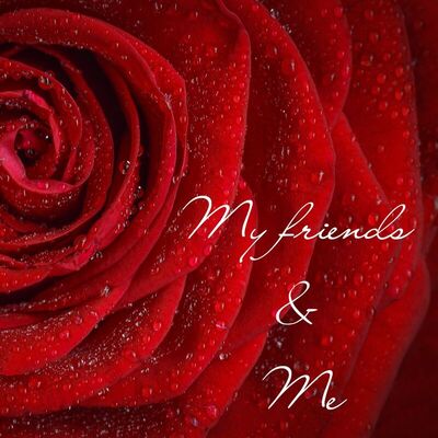 My friends & Me: นิยายรักวัยว้าวุ่น