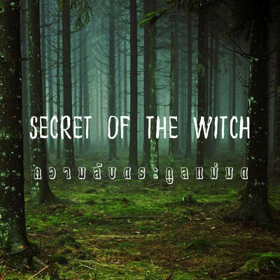 secret of the wisch : ความลับตระกูลต้องสาป: แฟนตาซี เกมออนไลน์ ต่างโลก ...