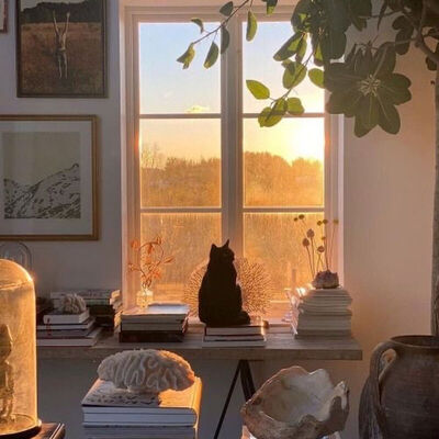 (OS) Cat planet | Wonhui: ฟิคฟรีสไตล์ (บรรยาย)