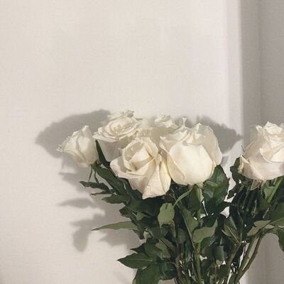 สัญญา [ Shinichiro,Rindou x y/n ]: ฟิคฟรีสไตล์ (แชท)