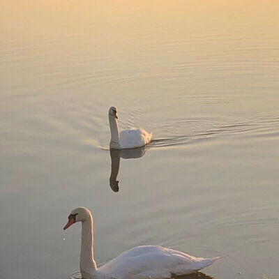 ประสาทจะแดก | sungsun: ฟิค Boy Love (แชท)