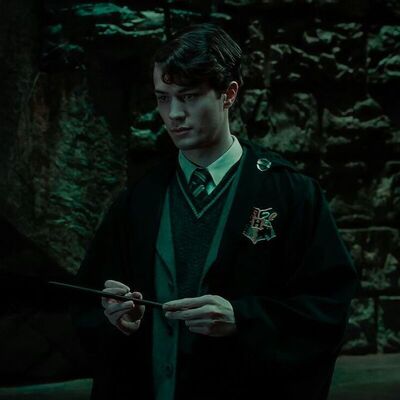 Tom riddle x You //หึง: ฟิค Love Novel (บรรยาย)