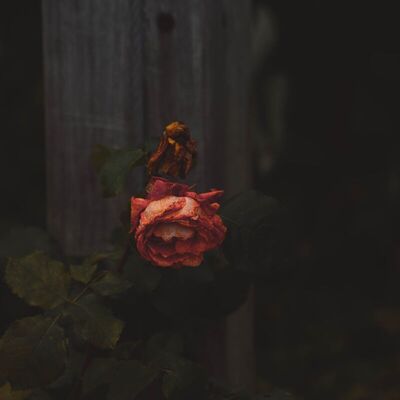 When the Death Comes to You | #hyunlix #lixhyun: ฟิค Boy Love (บรรยาย)