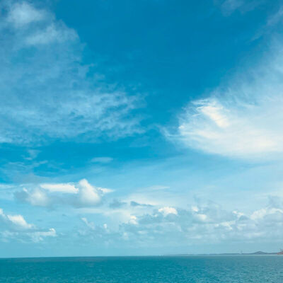 Blue & rose {Thomato} #omegaverse: ฟิค Boy Love (บรรยาย)