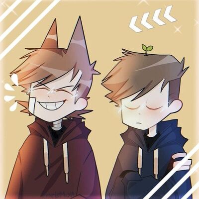 ความรักของเราสองคนมันไปได้มากกว่านี้นะ(Tord X Tom): ฟิค Love Novel (แชท)