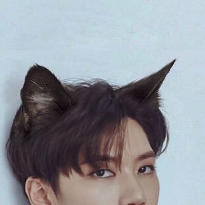 Zoo sapiens (พันธุ์สัตว์) [Mpreg] - Grey wolf x fennec fox (ฺเบรย์เดนx ...