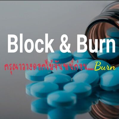 BLOCK & BURN กรุณาวางดอกไม้จันทน์ก่อนเบิร์น: สยองขวัญ