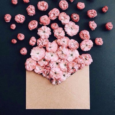 {OS/SF Fanfic minno etc. NCT } Dream come true: ฟิค Boy Love (บรรยาย)