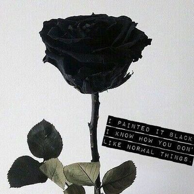 Death Project (โครงการลับโรงเรียนสยอง): ฟิค Boy Love (แชท)