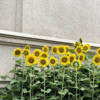 os/sf by #73c2fb: ฟิค Boy Love (บรรยาย)