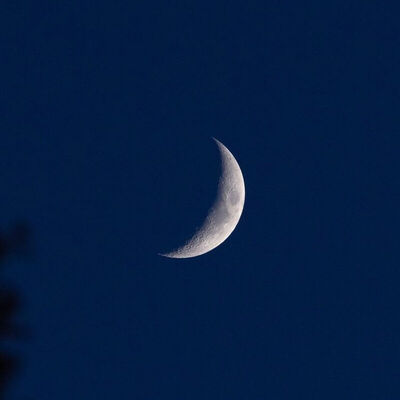 Moon | Markyang: ฟิค Boy Love (แชท)