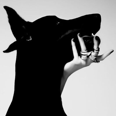 MY BAD DOG.| Bonten x y/n: ฟิค Love Novel (แชท)