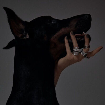 Ferocious | Dreamten: ฟิค Boy Love (แชท)