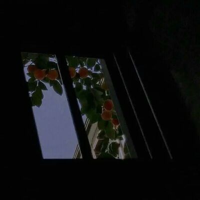 มัธยม | aimless school | MBTI. sss 1: ฟิค Boy Love (แชท)