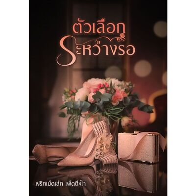 ตัวเลือกระหว่างรอ E-Book พร้อมโหลด: นิยายโรมานซ์