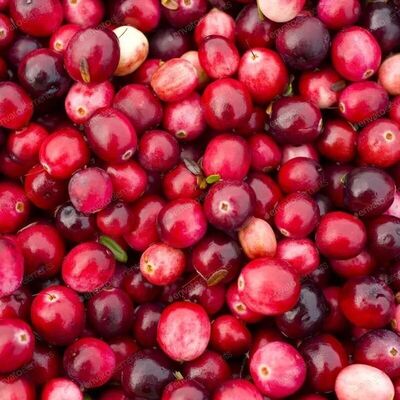 When a young alpha goes into a rut | hyunchan: ฟิค Boy Love (บรรยาย)