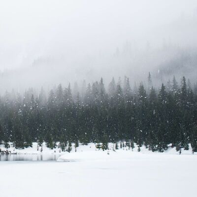 [Khr | Reborn, 8059] We are going to have snowball fights together ...