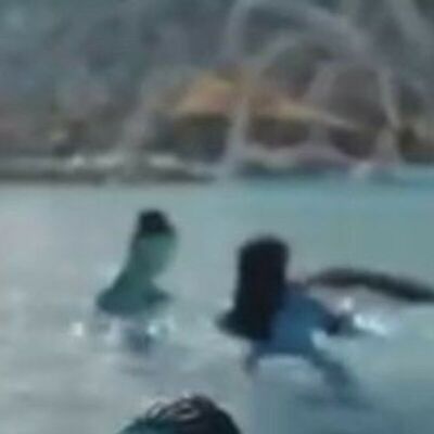 𝑾𝒂𝒌𝒆 𝒖𝒑, 𝒔𝒍𝒆𝒆𝒑𝒚 𝒄𝒂𝒕. | [ Aonung x Neteyam ]: ฟิคฟรีสไตล์ (บรรยาย)