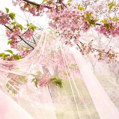 [Kamen Rider Zero One OS] | New Year, New Me [Aruto x Fuwa]: ฟิค Boy ...