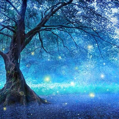 Firefly | Minno: ฟิค Boy Love (แชท)