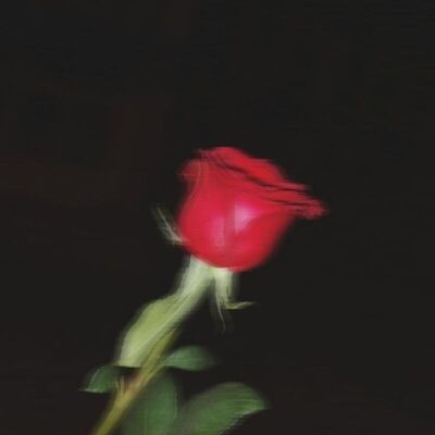 The rose 🌹 : AllhiNata ( The cakeverse ): ฟิค Boy Love (แชท)