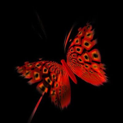 Butterfly in a death: แฟนตาซี เกมออนไลน์ ต่างโลก (แชท)