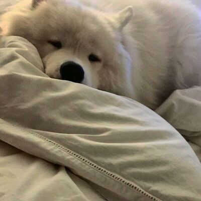 เรื่องนั้นมีอยู่ว่า || chiyato: ฟิค Boy Love (แชท)