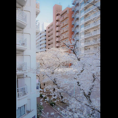 [CONAN OC] 愛してる: ฟิค Love Novel (บรรยาย)